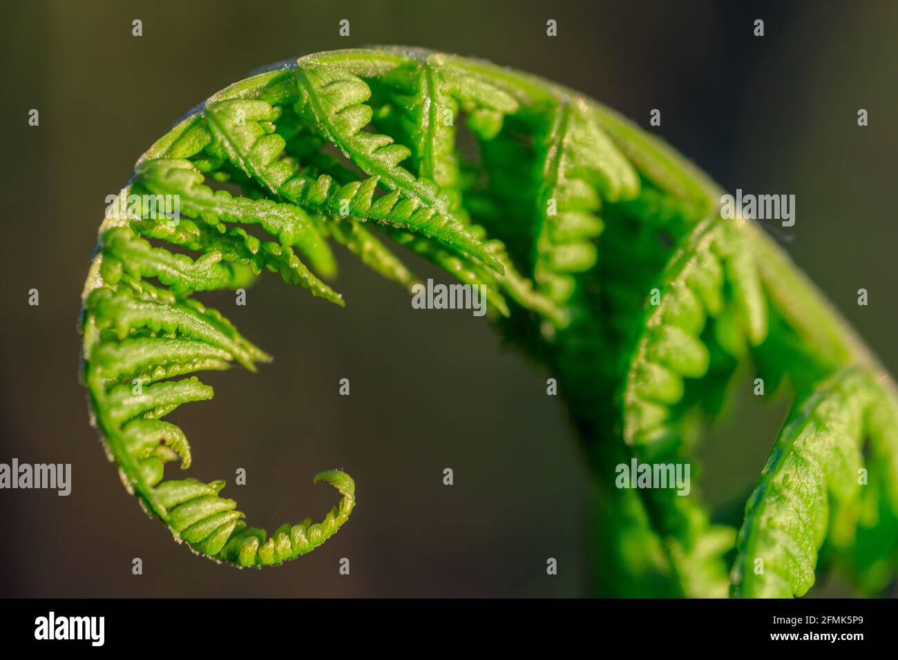 Brigham county park hi-res stock photography and images - Alamy