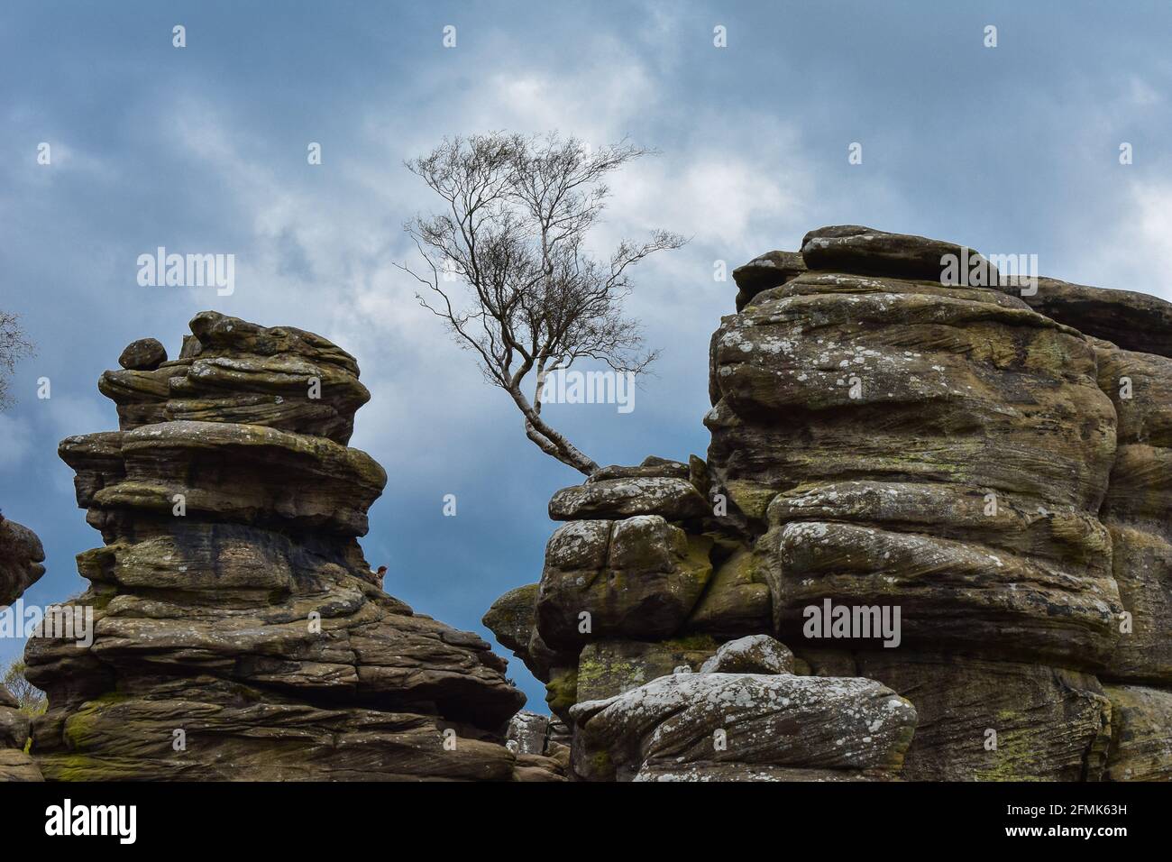 North yorkshire heather rock hi-res stock photography and images - Alamy