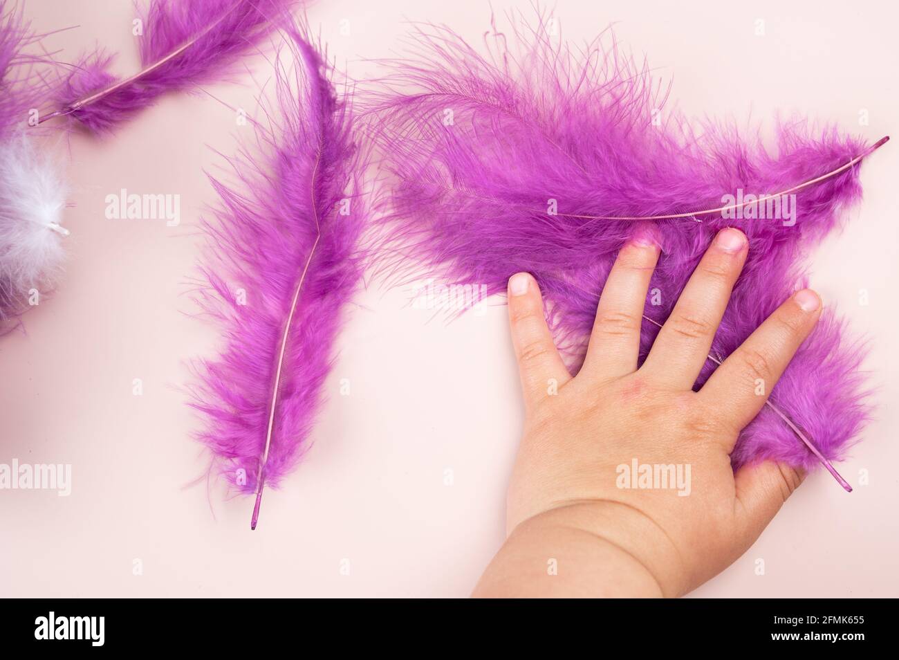 Child hand holding feathers hi-res stock photography and images - Alamy