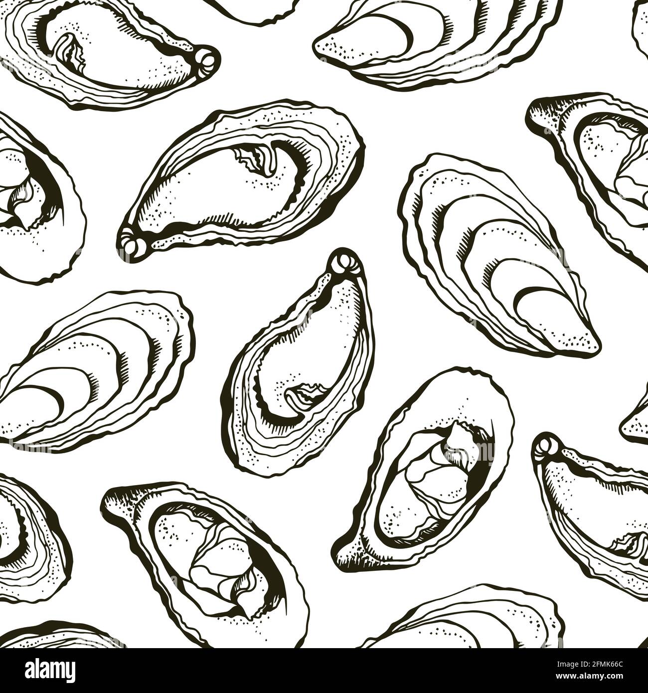 Oyster Shell Outline