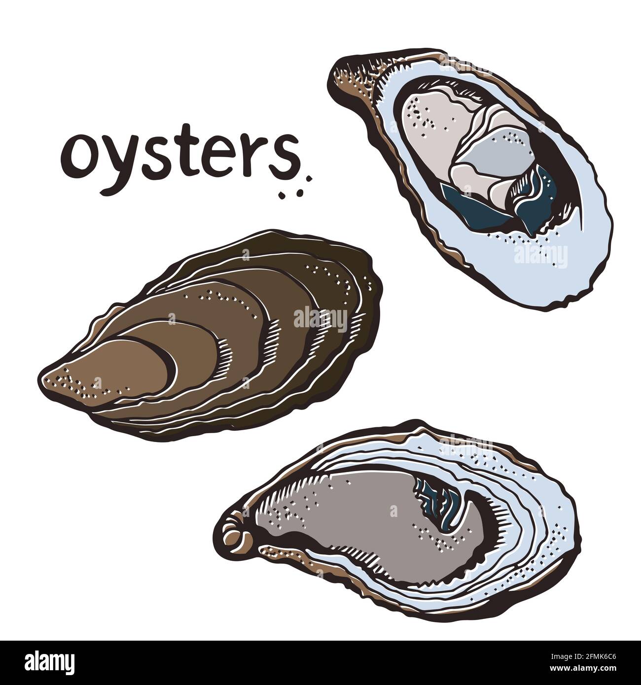 Oysters vector set, hand drawn illustration isolated on a white ...