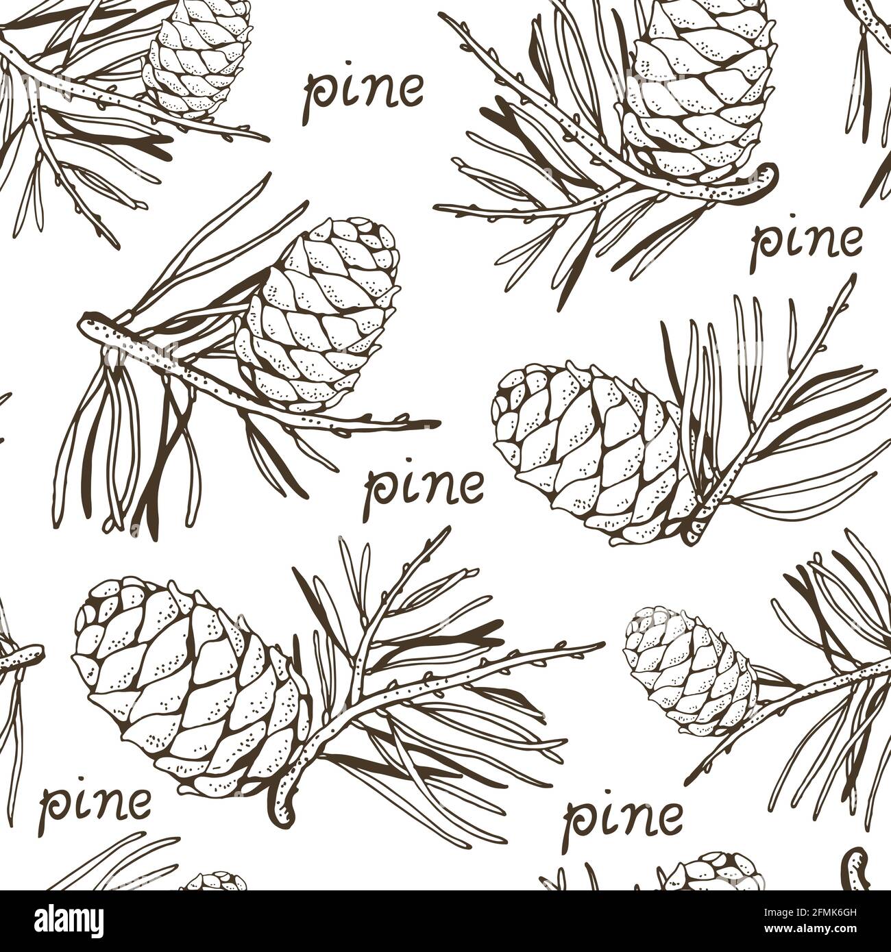 Pine cedar cone with a sprig, vector seamless hand drawn background ...