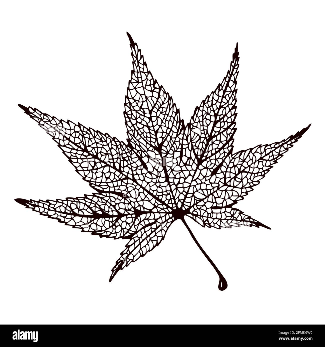 Japanese Maple Leaf Silhouette