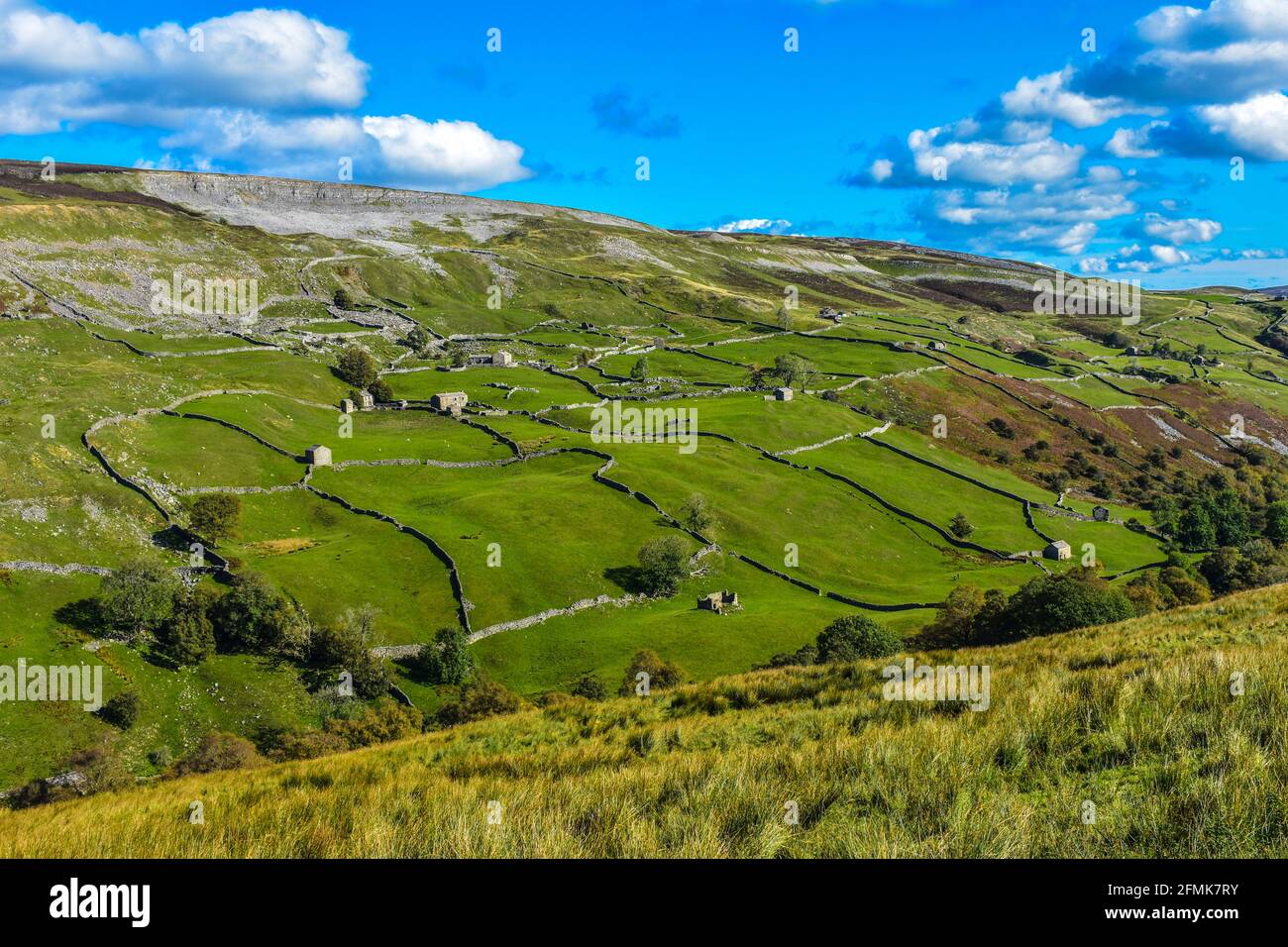 Swaledale in North Yorkshire Stock Photo - Alamy