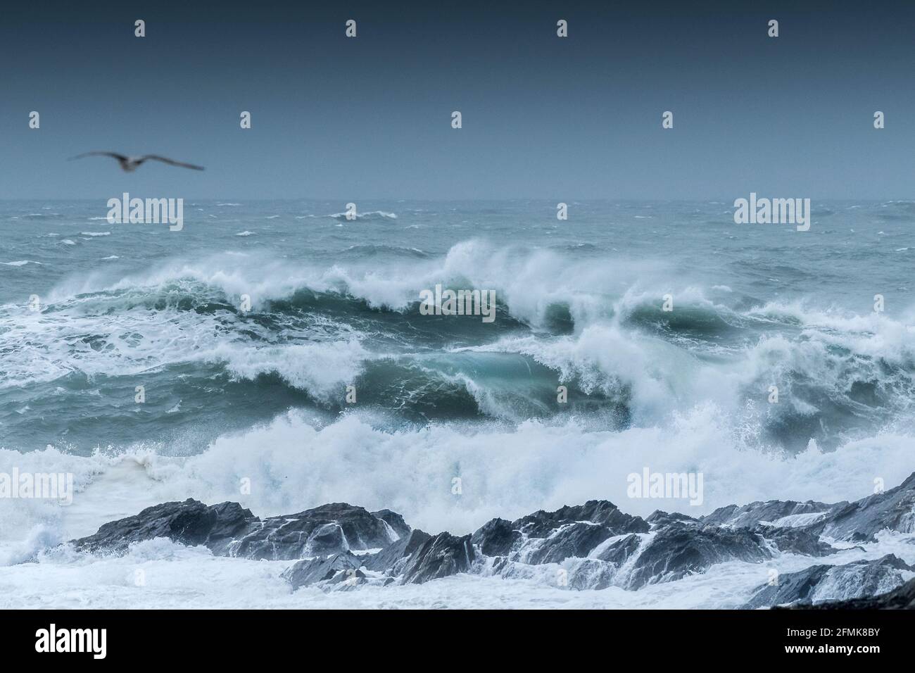 Cribbar reef hi-res stock photography and images - Alamy