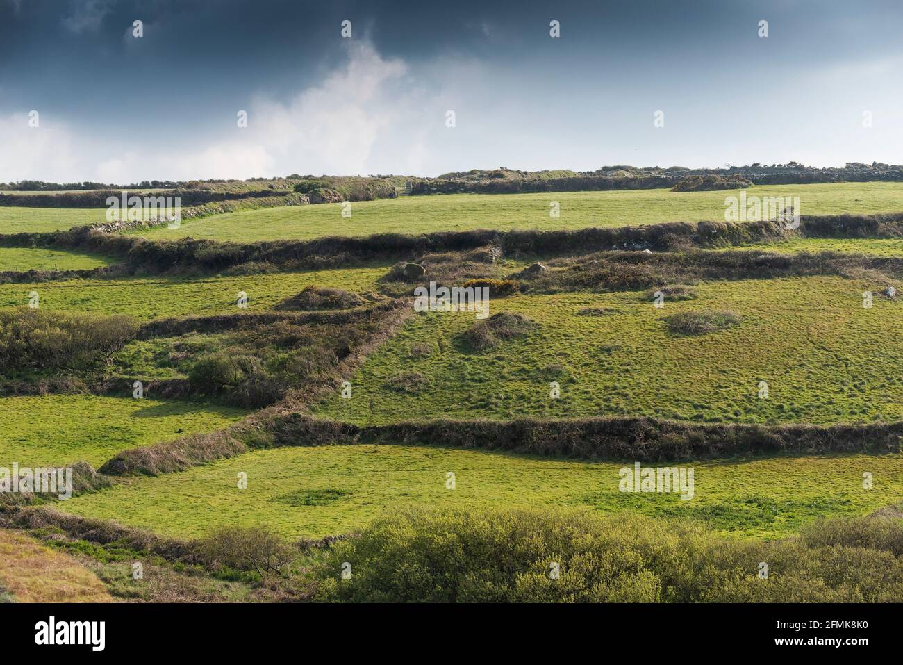 Traditional Cornish hedges in fields in West Penwith in Cornwall Stock ...