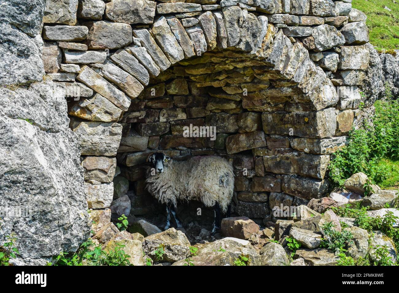 Hide footpath hi-res stock photography and images - Alamy