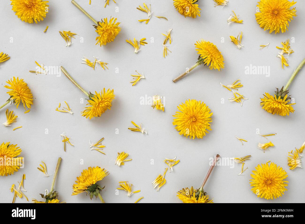 Torn flowers hi-res stock photography and images - Alamy