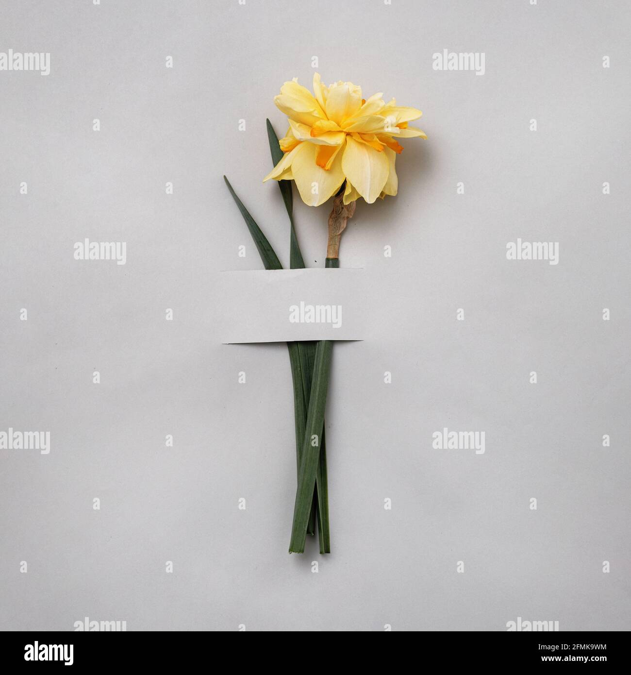 Congratulations and get rich hi-res stock photography and images - Alamy