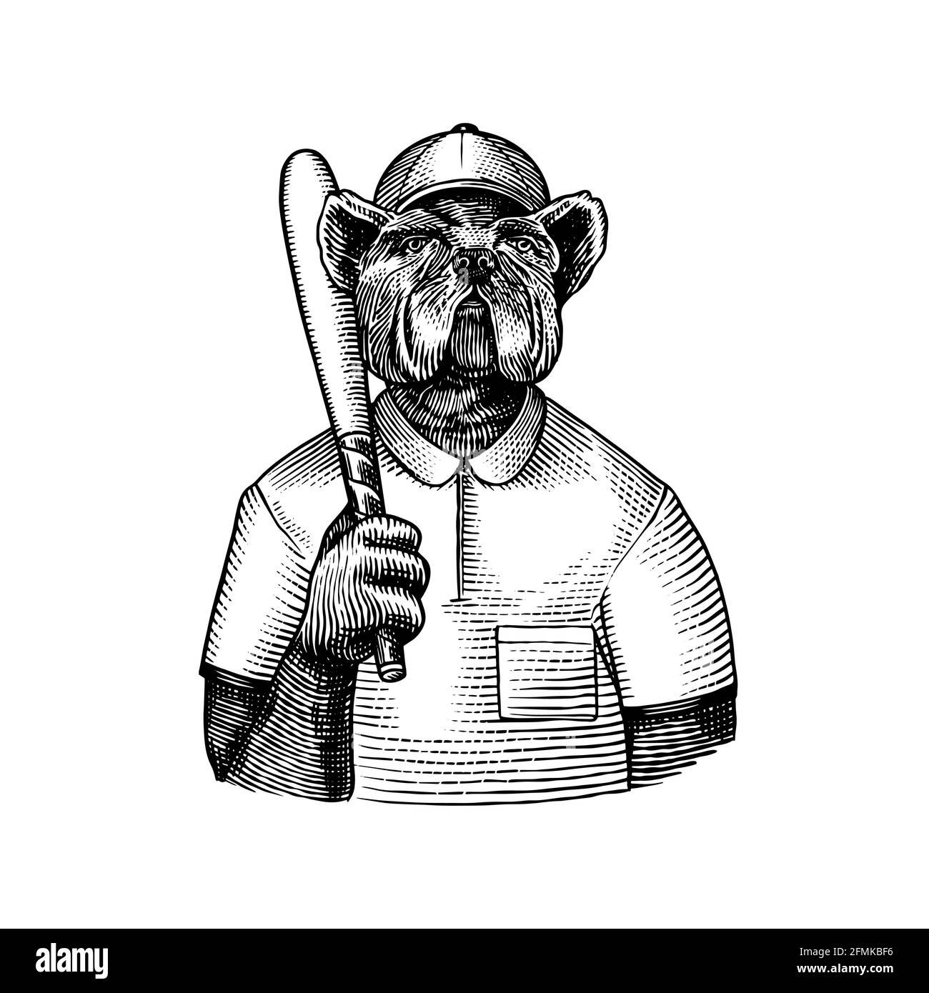 Dog character. Bulldog baseball player with a bat. Fashionable animal ...