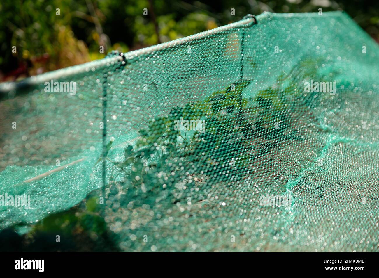 Soil net hi-res stock photography and images - Alamy