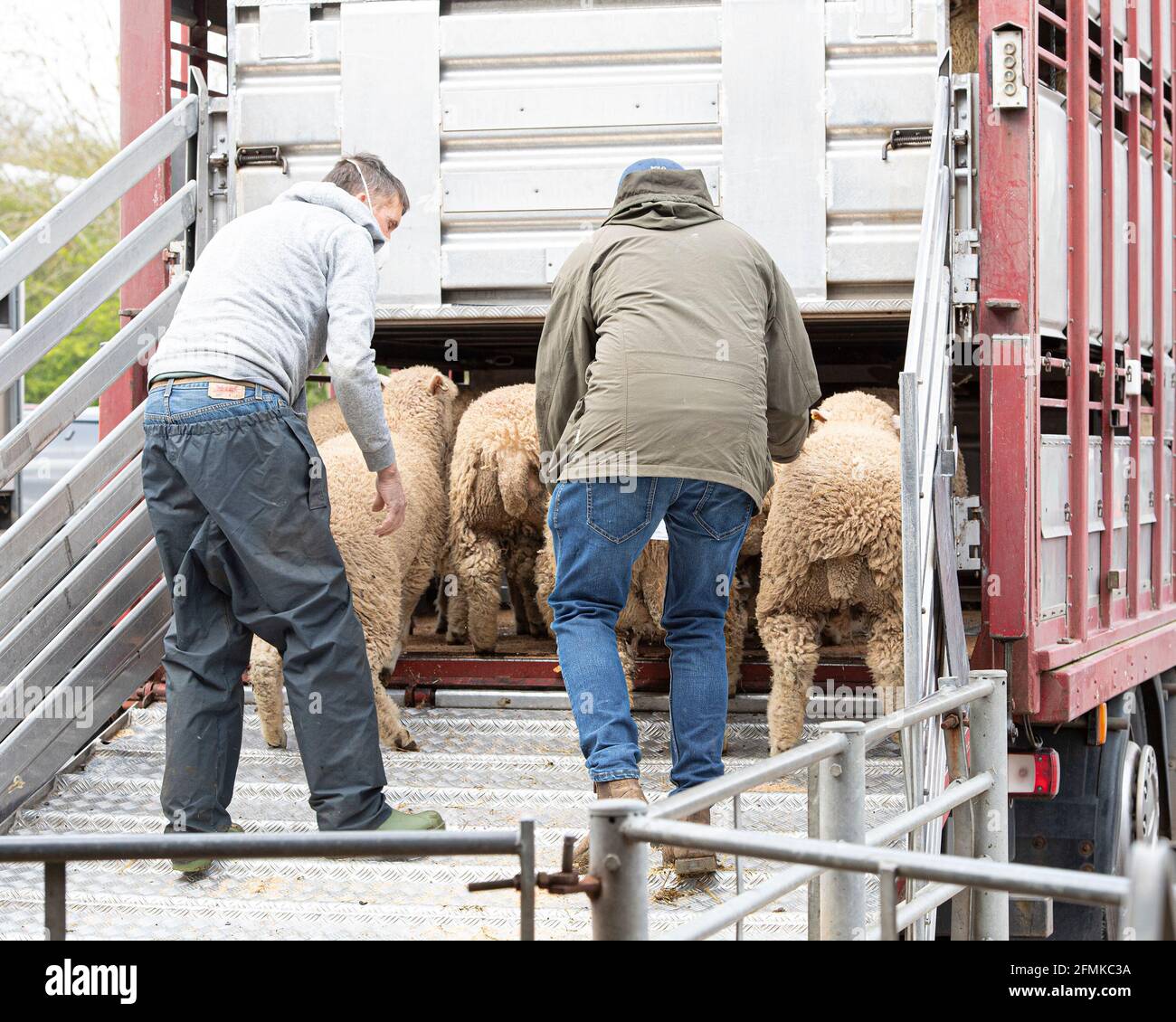 Livestock lorry hi-res stock photography and images - Alamy