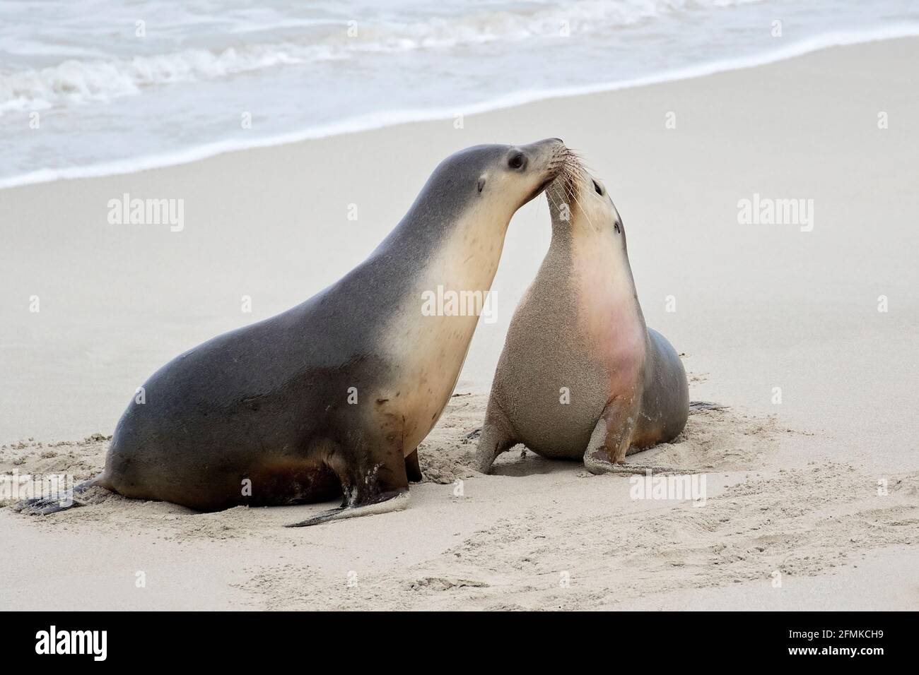 Smooching hi-res stock photography and images - Alamy
