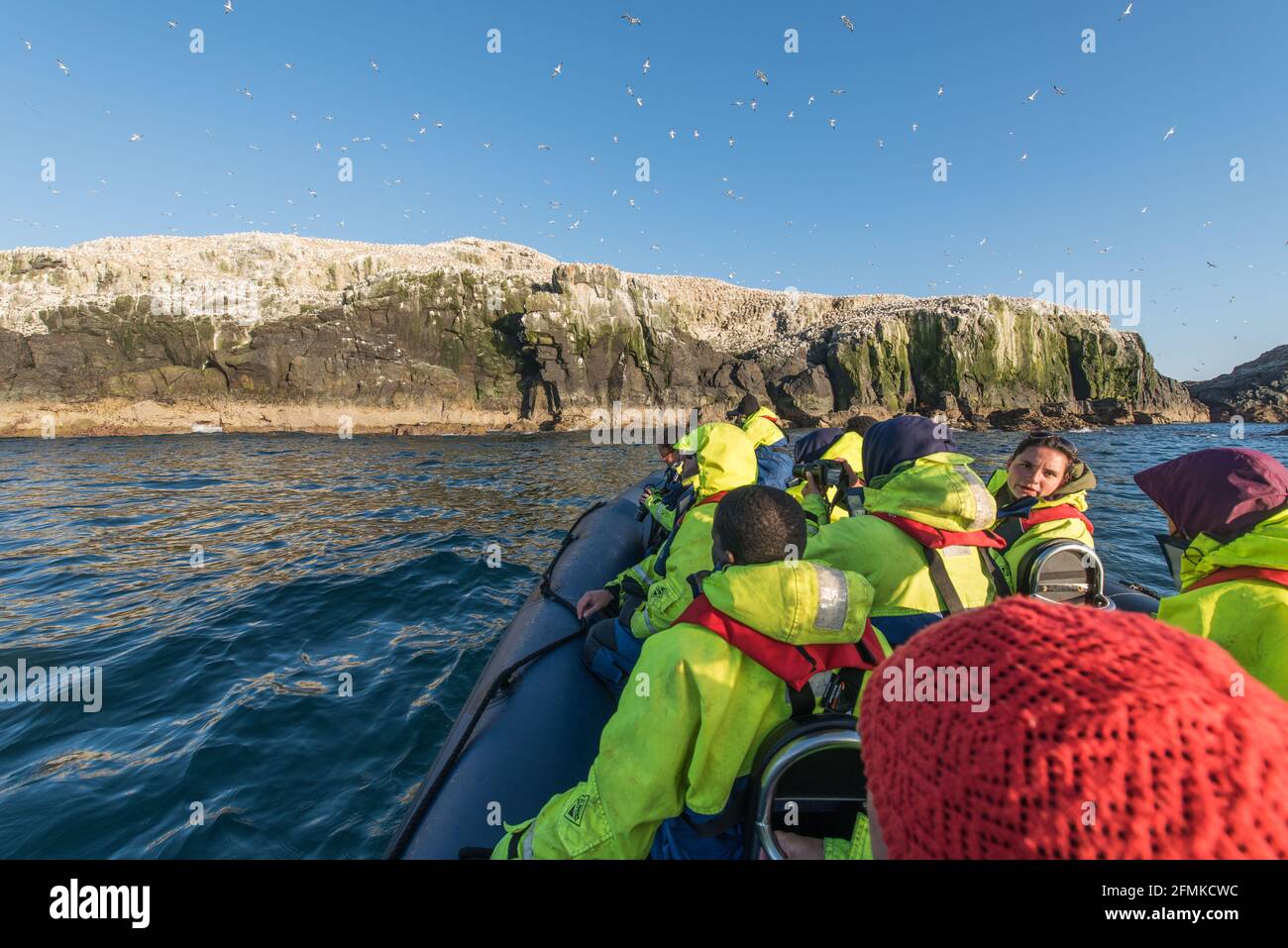 Wildlife boat trip, Grassholm Island, Pembrokeshire, Wales, UK Stock ...