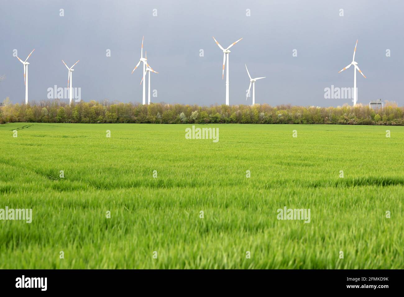 Magdeburger borde hi-res stock photography and images - Alamy