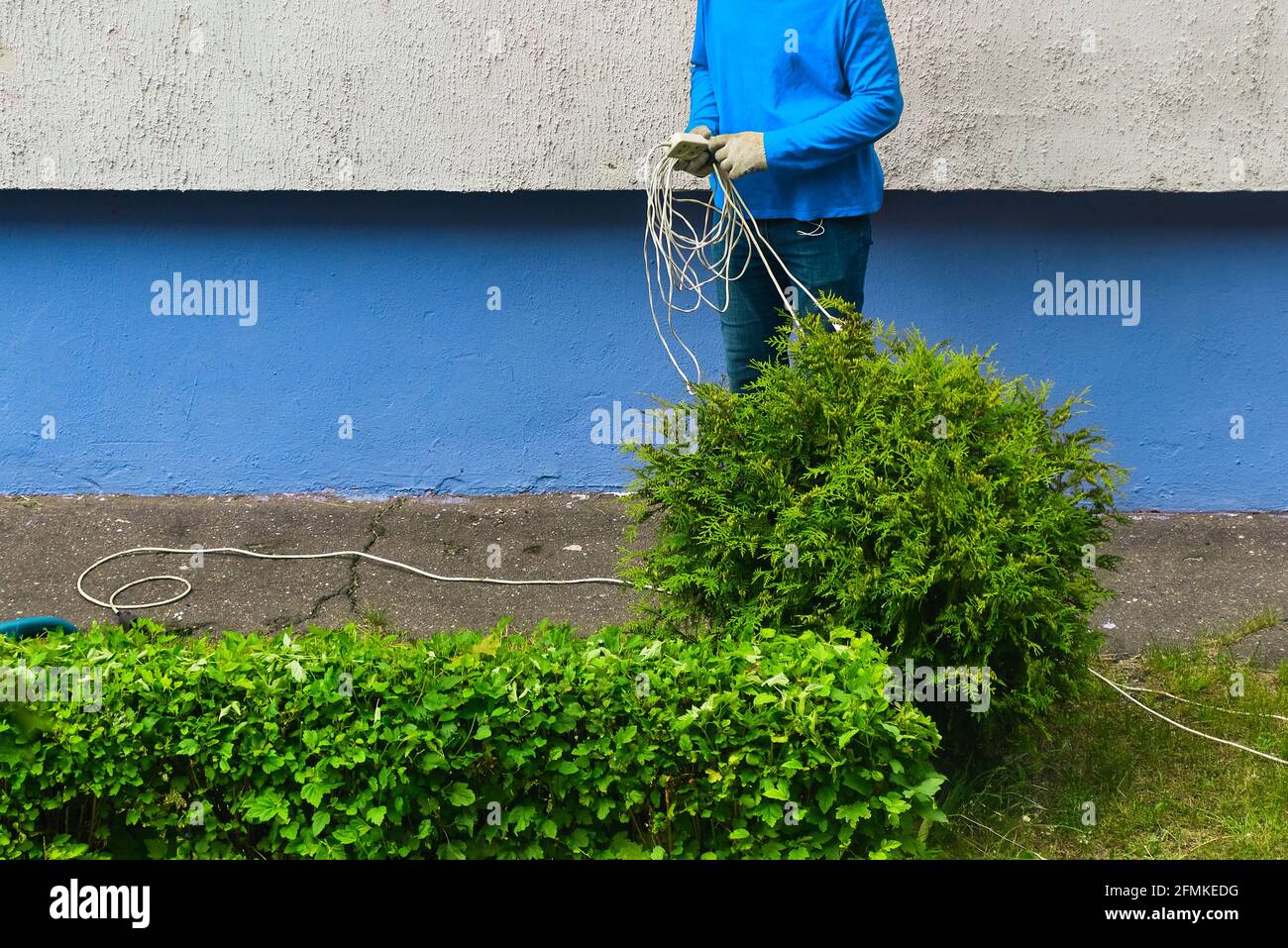 worker holds an extension cord in his hands Stock Photo - Alamy