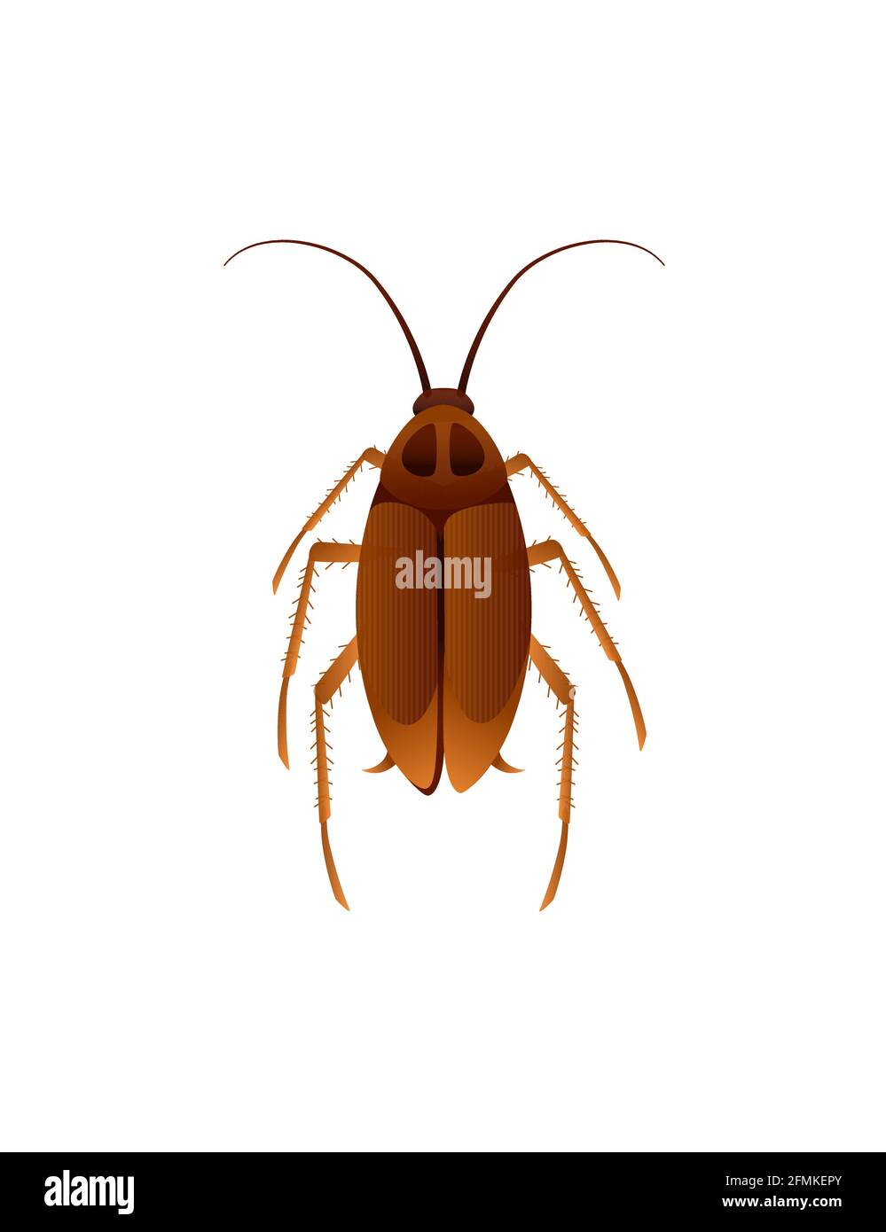 Top view illustration on cockroach cartoon domestic insect pest design ...