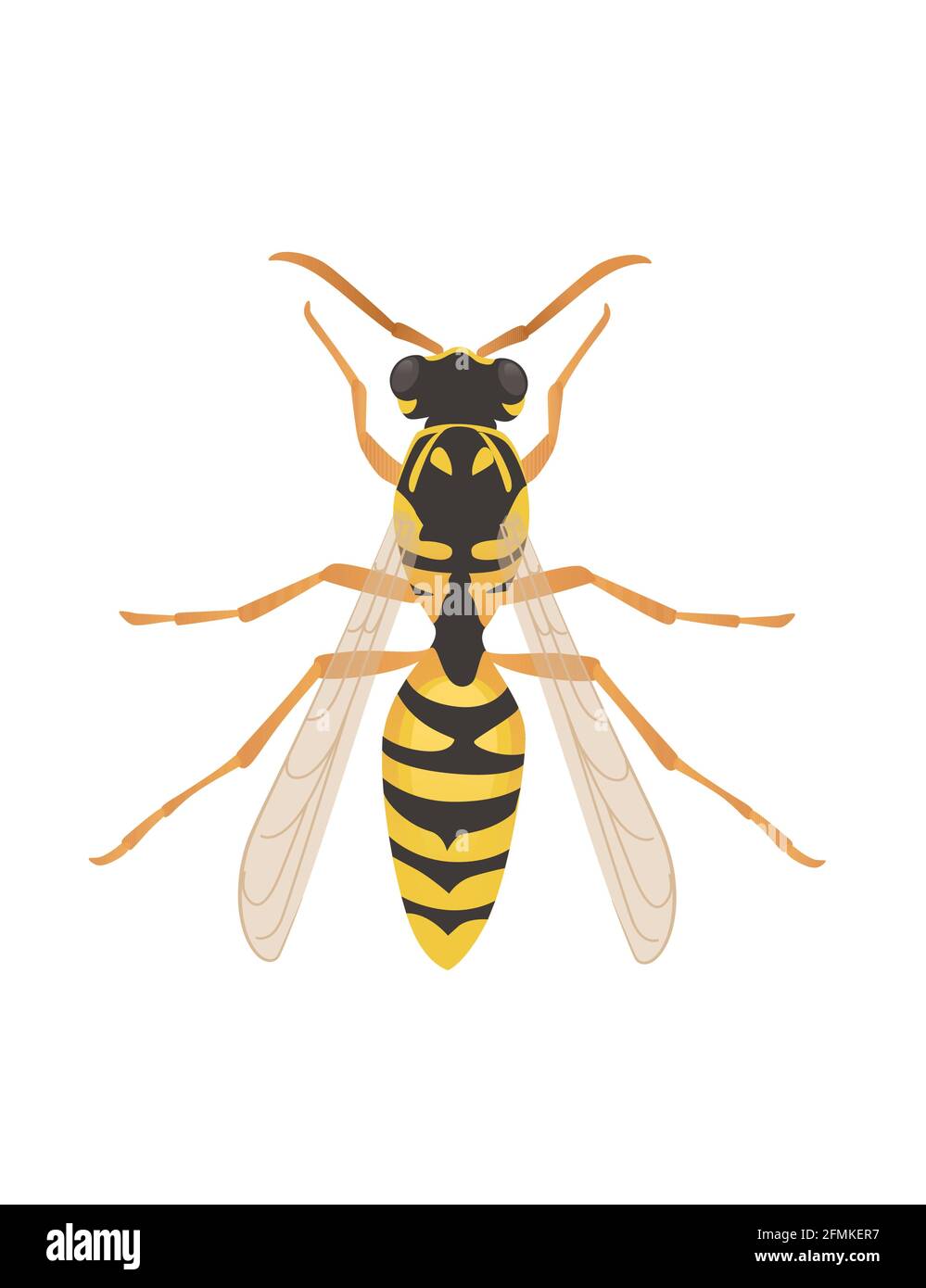 Wasp flying danger insect cartoon wasp design vector illustration on ...