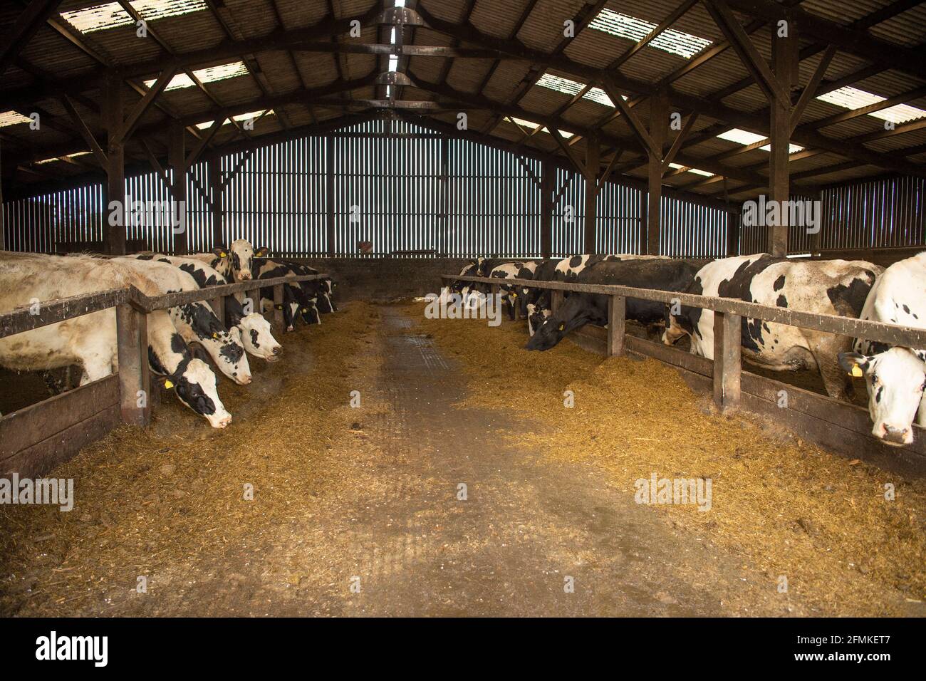 Cubicle farm hi-res stock photography and images - Alamy