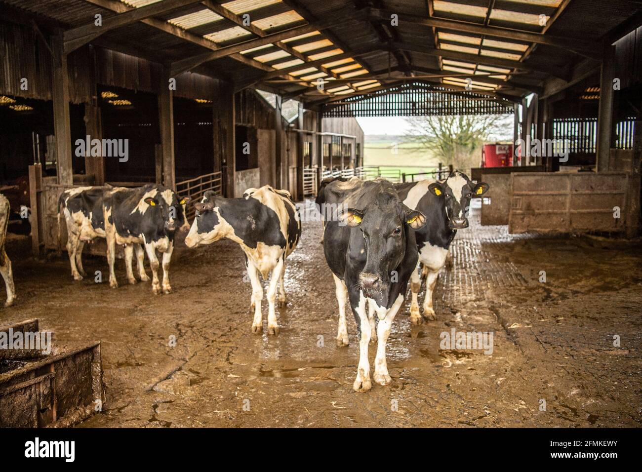 Collecting agriculture hi-res stock photography and images - Alamy