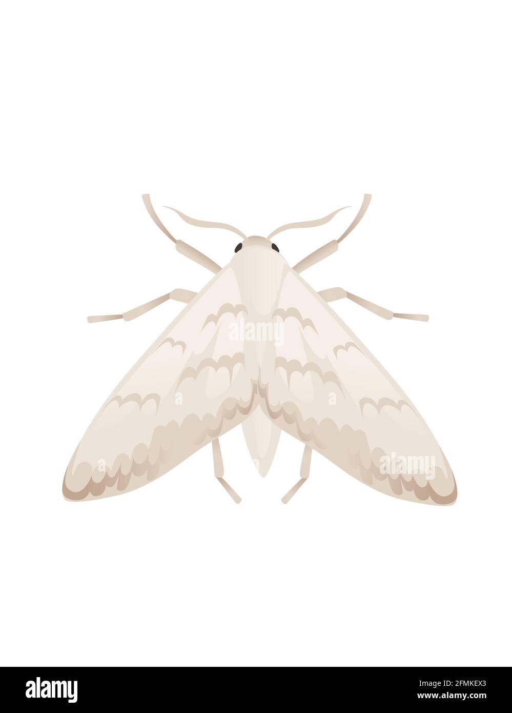 Top view illustration on moth cartoon insect butterfly design vector ...