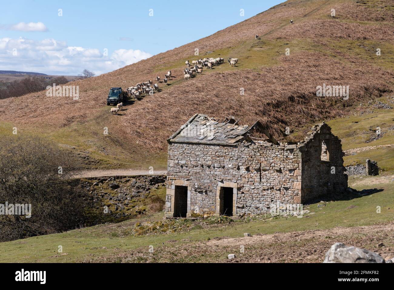 Old Swaledale stone field barns Stock Photo - Alamy