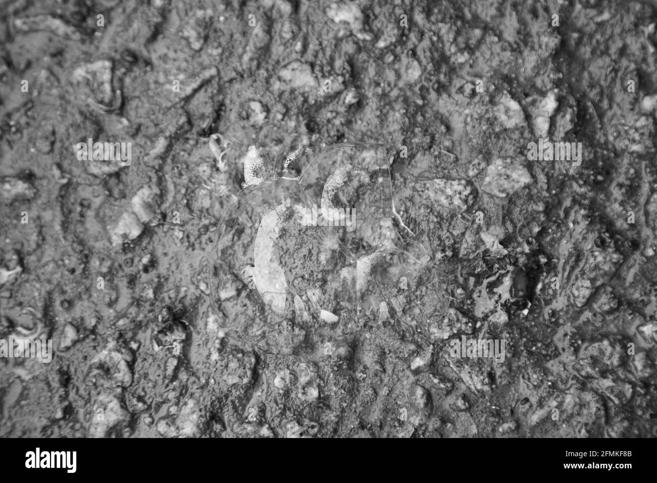 Abstract grey bubbles background. Chemical liquid concept. Seamless ...