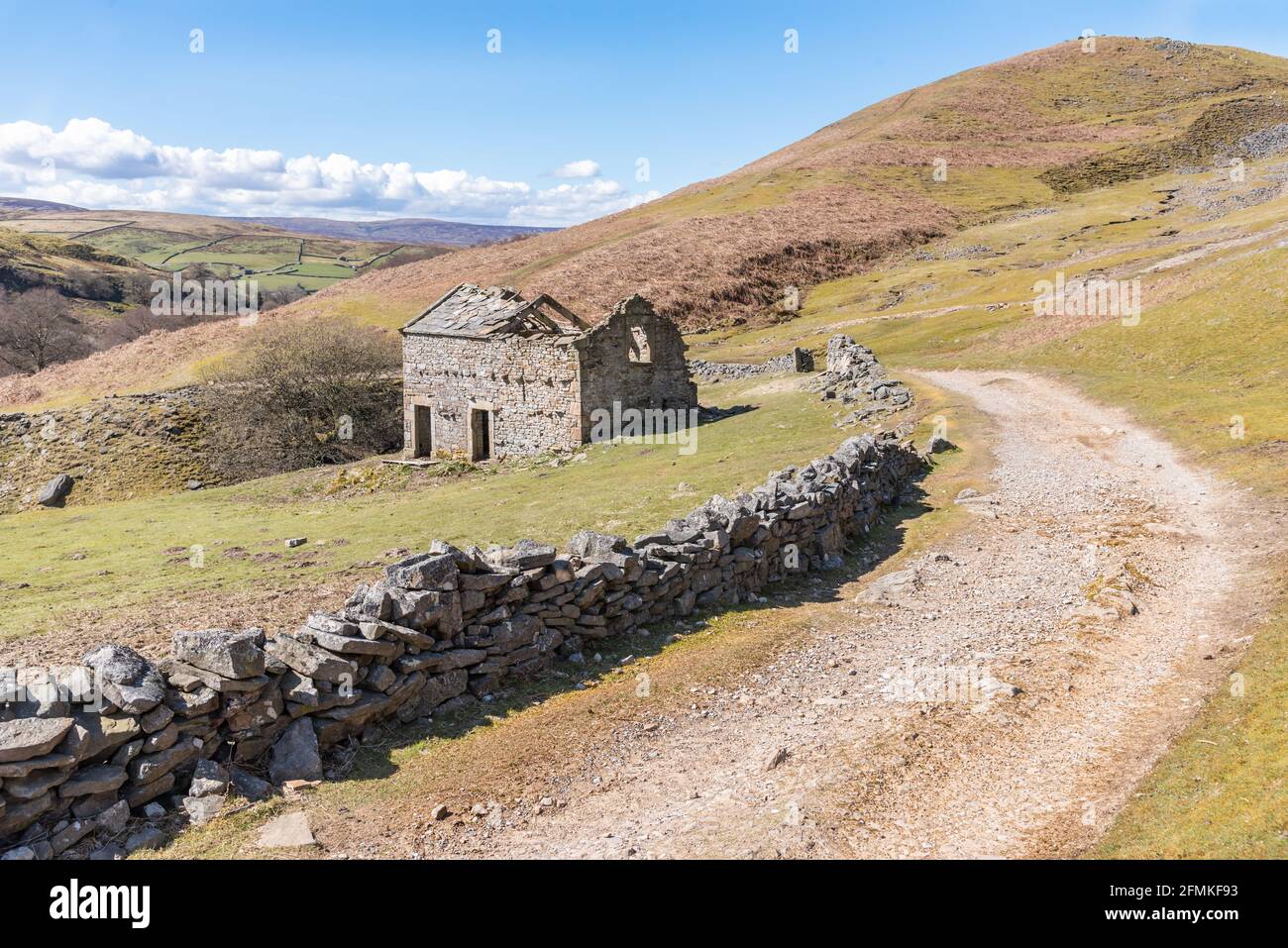 Old Swaledale stone field barns Stock Photo - Alamy