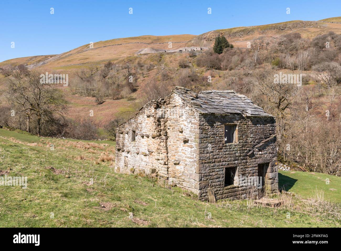 Old Swaledale stone field barns Stock Photo - Alamy