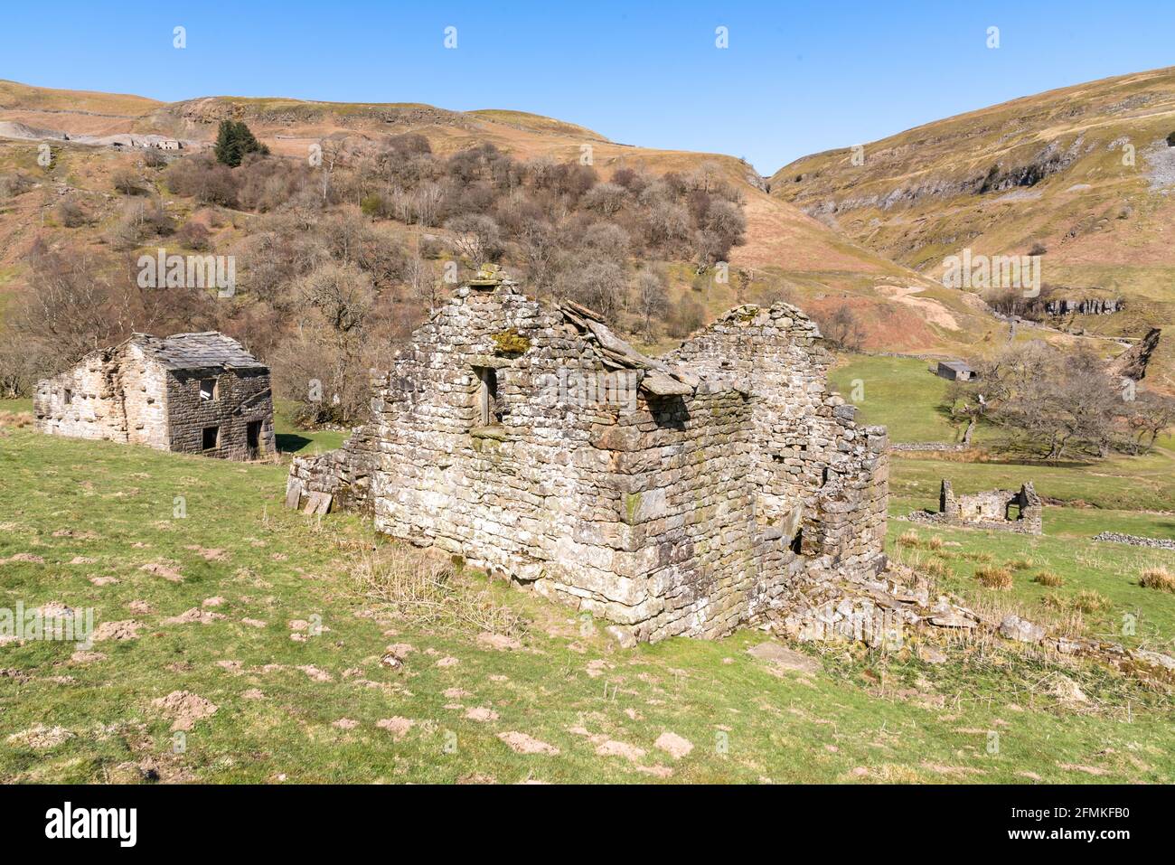 Old Swaledale stone field barns Stock Photo - Alamy