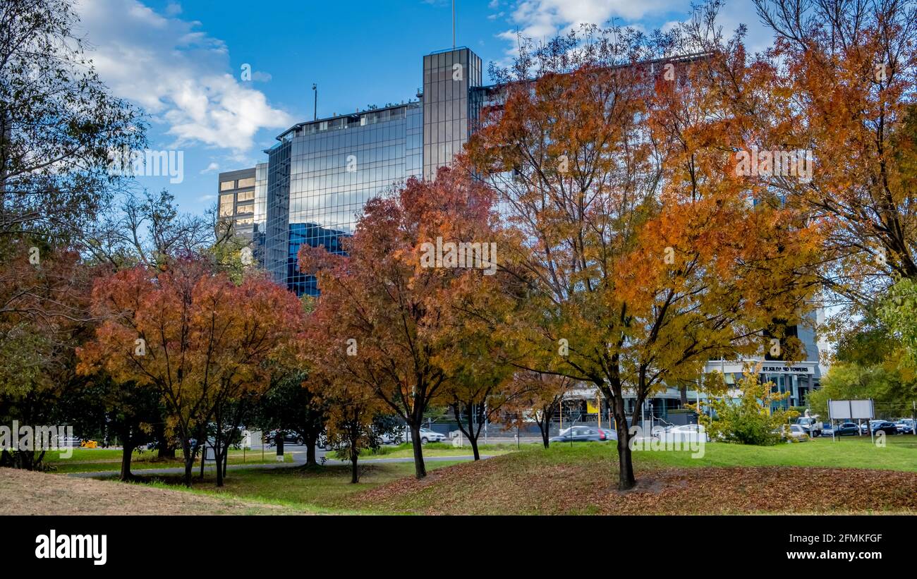 Albert Park Golf Course with buildings background at Melbourne Victoria ...