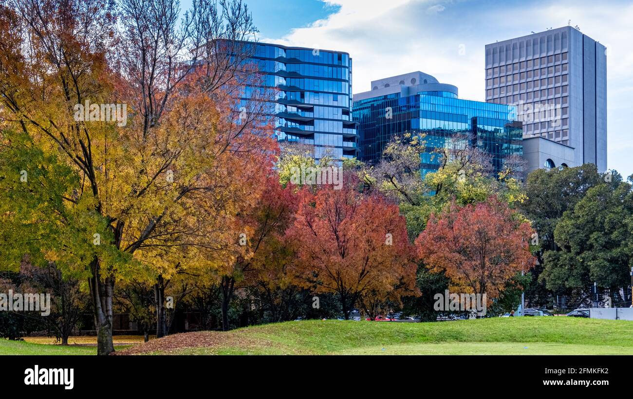 Albert park golf hi-res stock photography and images - Alamy