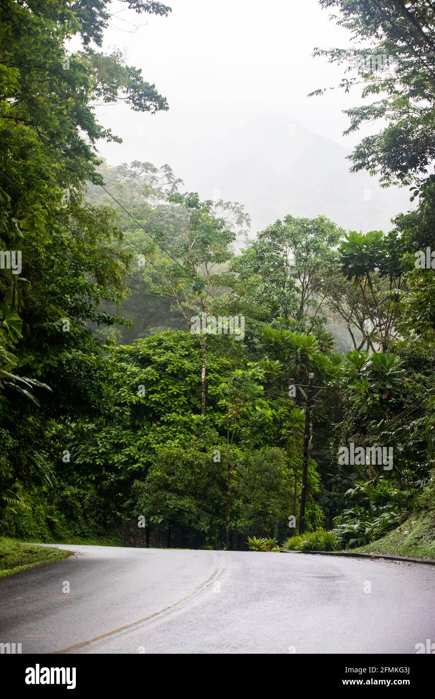 Arenal volcano and arenal cloud forest in the mist in Arenal region ...