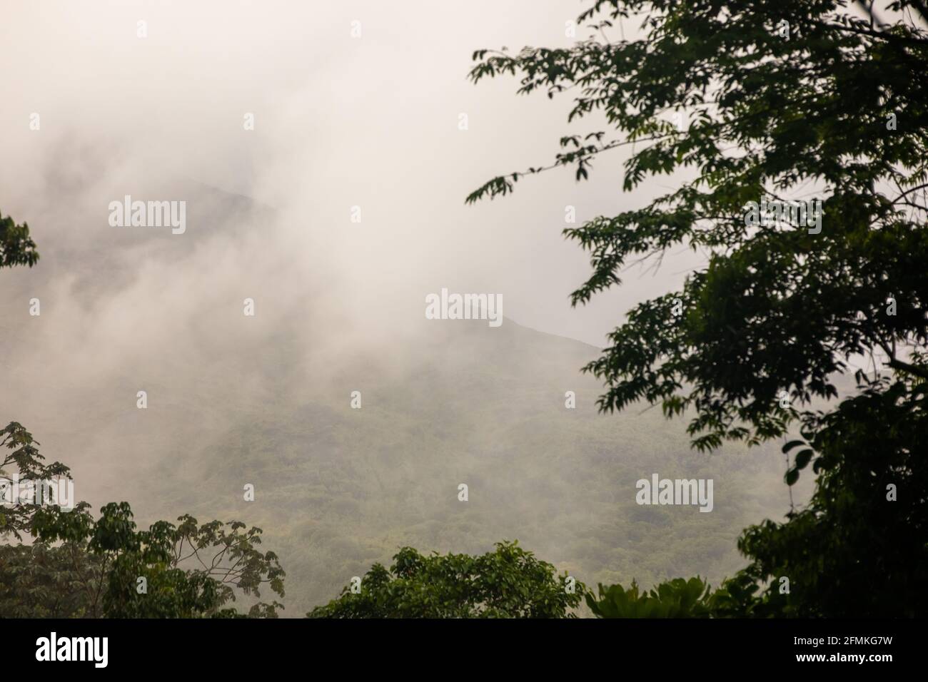Rainforest arenal region costa hi-res stock photography and images - Alamy