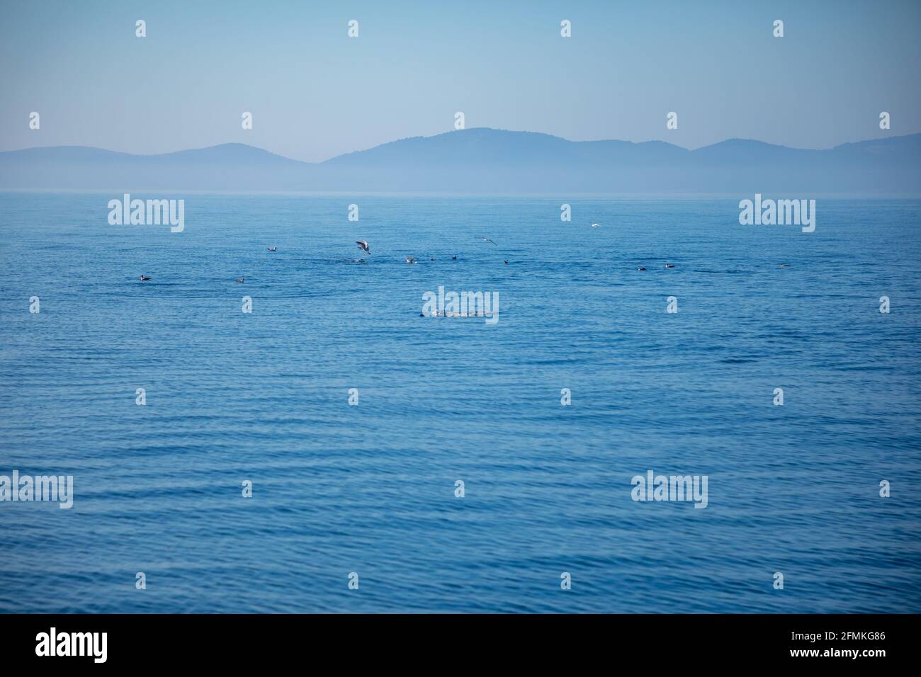 Blue Tones Water Waves Surface as nature Background Stock Photo - Alamy