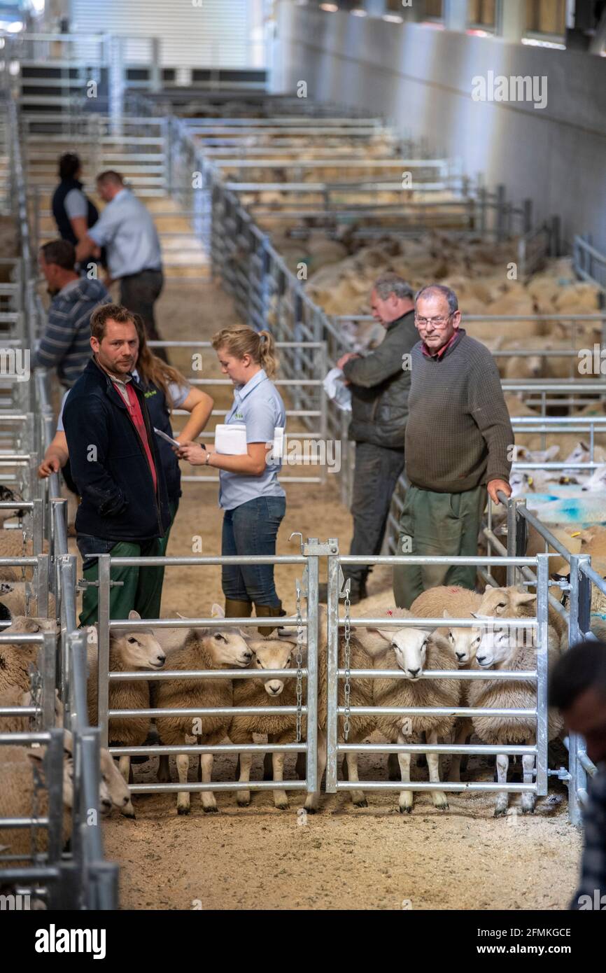 Darlington farmers auction mart hi-res stock photography and images - Alamy