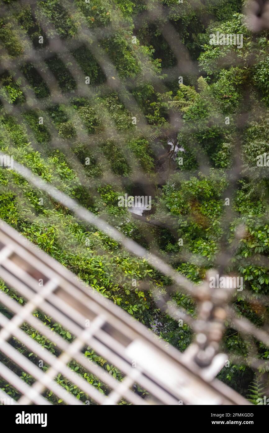 View of the hanging bridges in "Mistico Arenal Puentes Colgantes" park ...