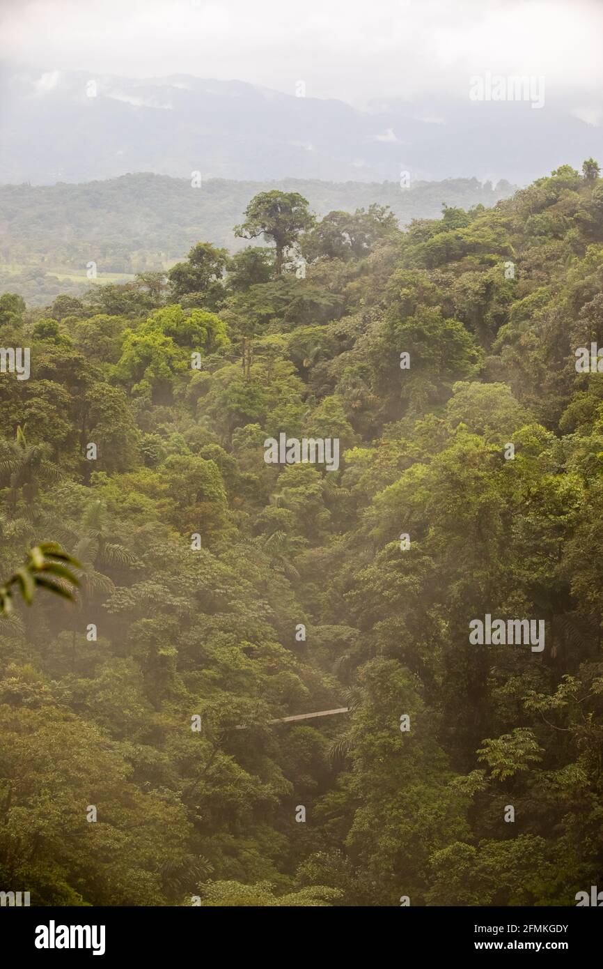 View of the hanging bridges in "Mistico Arenal Puentes Colgantes" park ...