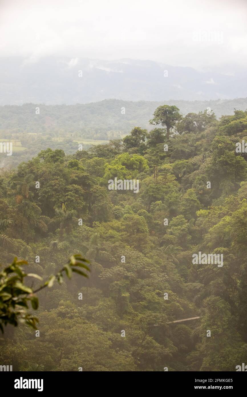 View of the hanging bridges in "Mistico Arenal Puentes Colgantes" park ...