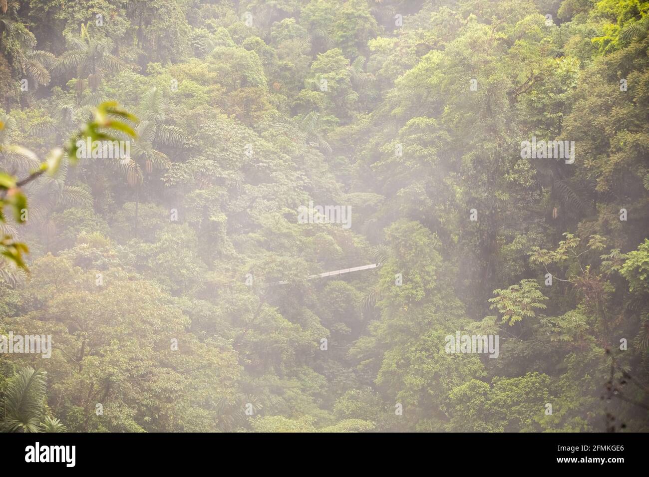 View of the hanging bridges in "Mistico Arenal Puentes Colgantes" park ...