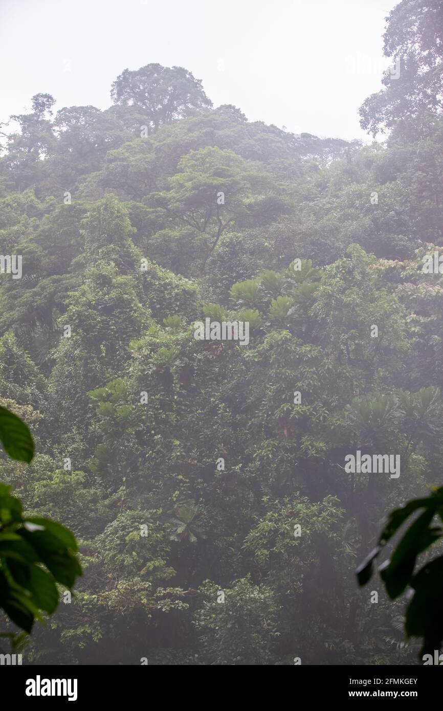 Arenal volcano and arenal cloud forest in the mist in Arenal region ...