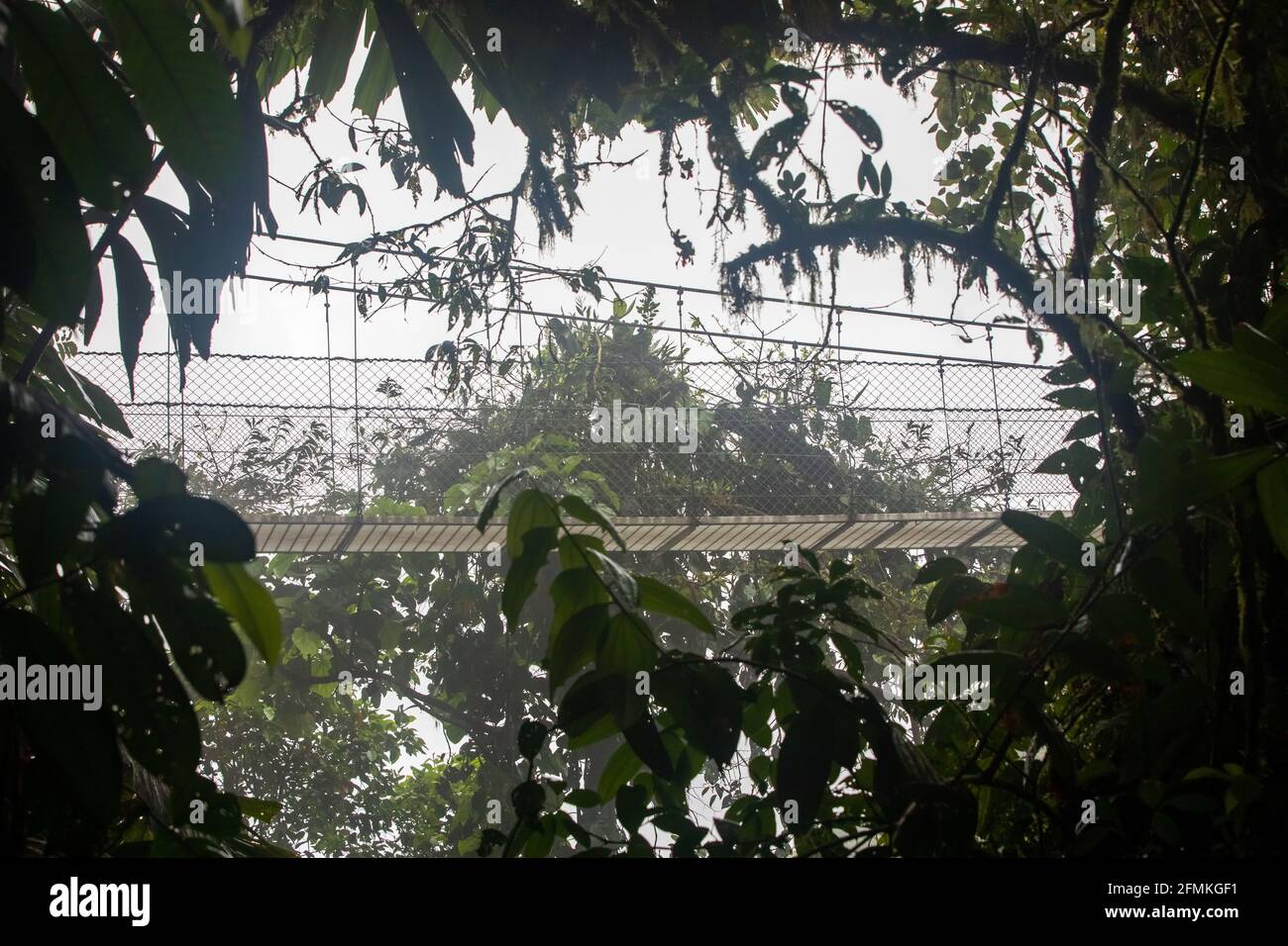 View of the hanging bridges in "Mistico Arenal Puentes Colgantes" park ...