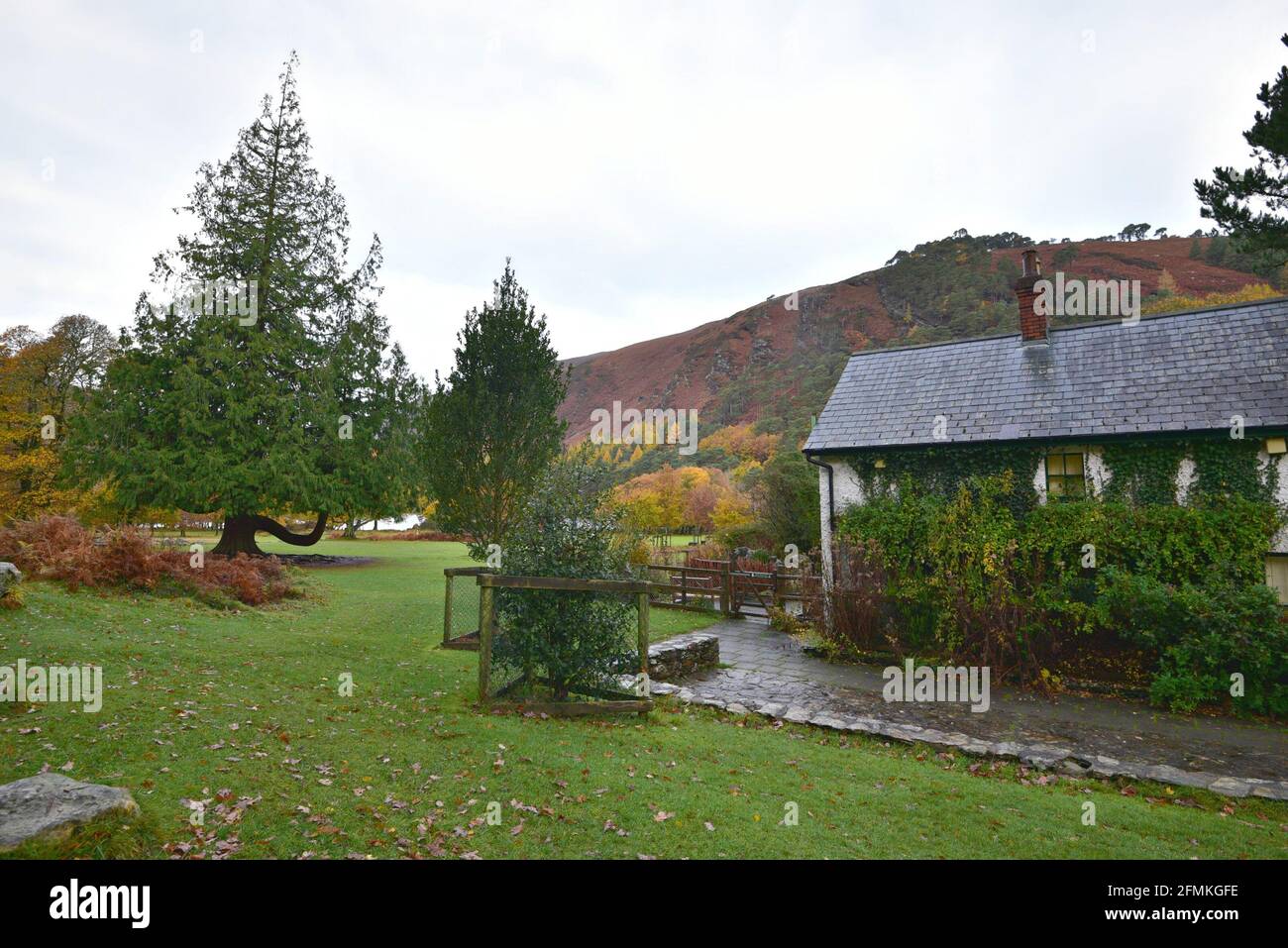 Autumn landscape with an Irish cottage in the countryside of ...