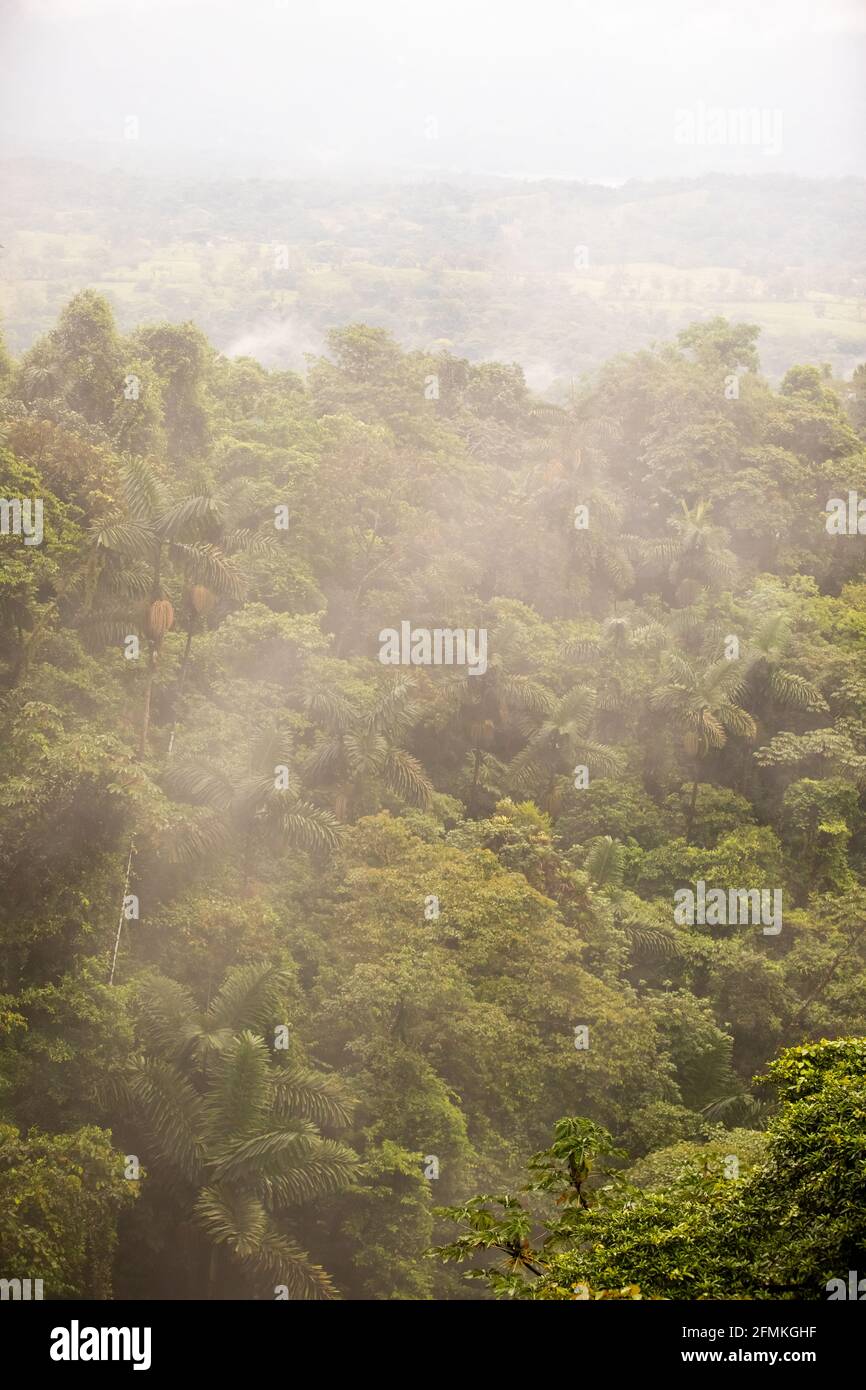 Arenal volcano and arenal cloud forest in the mist in Arenal region ...
