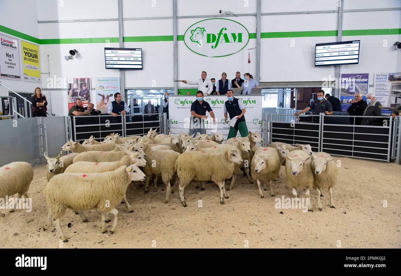 Inside arena pen hi-res stock photography and images - Alamy