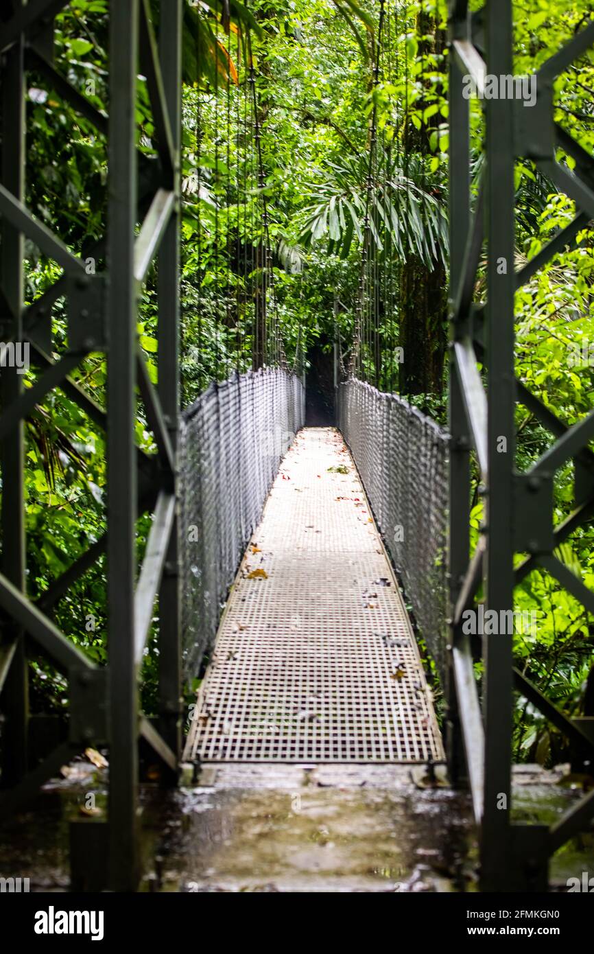 View of the hanging bridges in "Mistico Arenal Puentes Colgantes" park ...