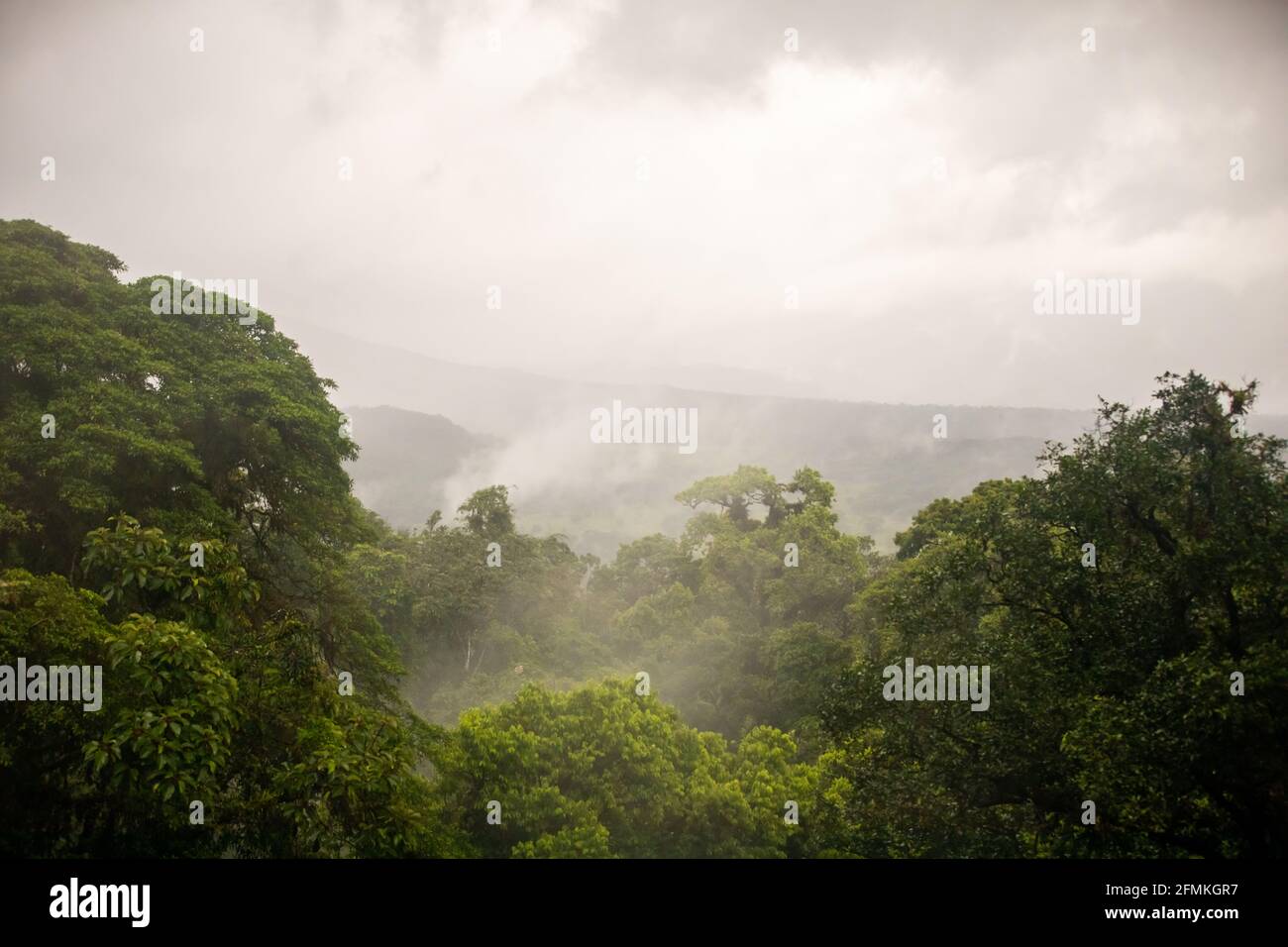 Arenal volcano and arenal cloud forest in the mist in Arenal region ...
