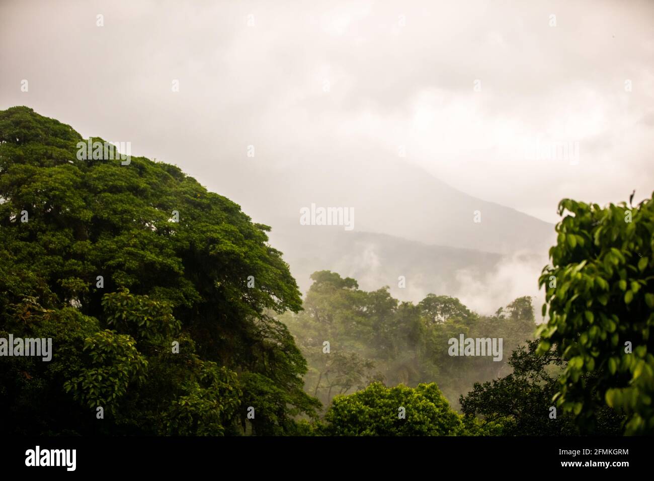 Arenal volcano and arenal cloud forest in the mist in Arenal region ...