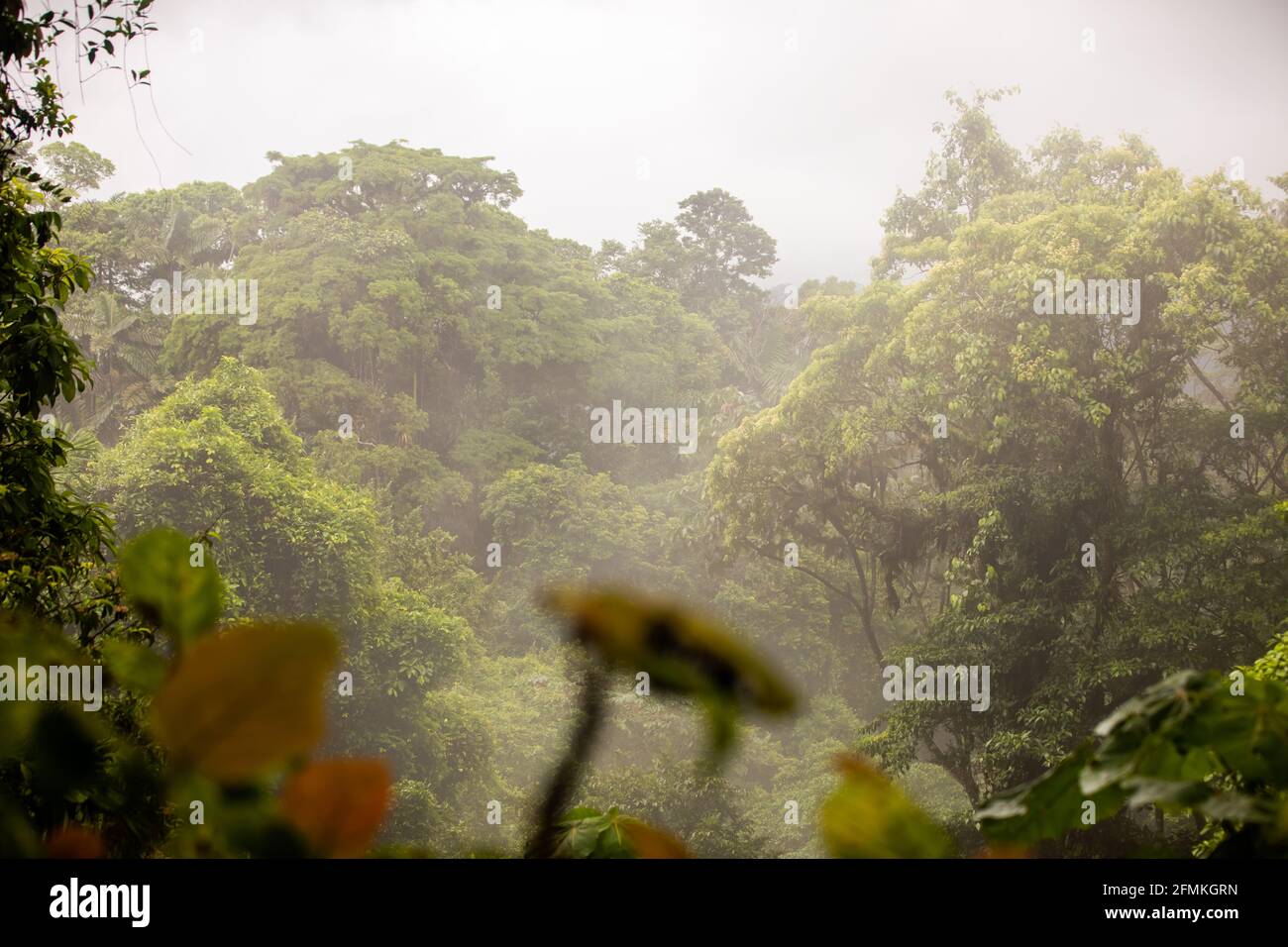 Arenal volcano and arenal cloud forest in the mist in Arenal region ...