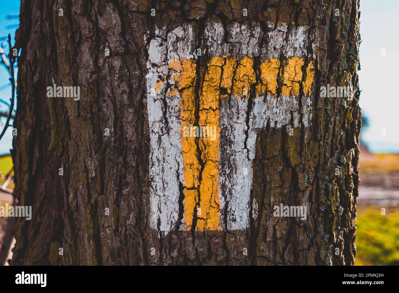 Yellow marker pattern hi-res stock photography and images - Alamy